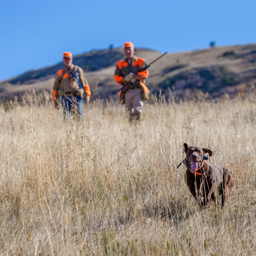 Hunting Resort & Luxury Lodge in Montana | Forrester's Bighorn River Resort