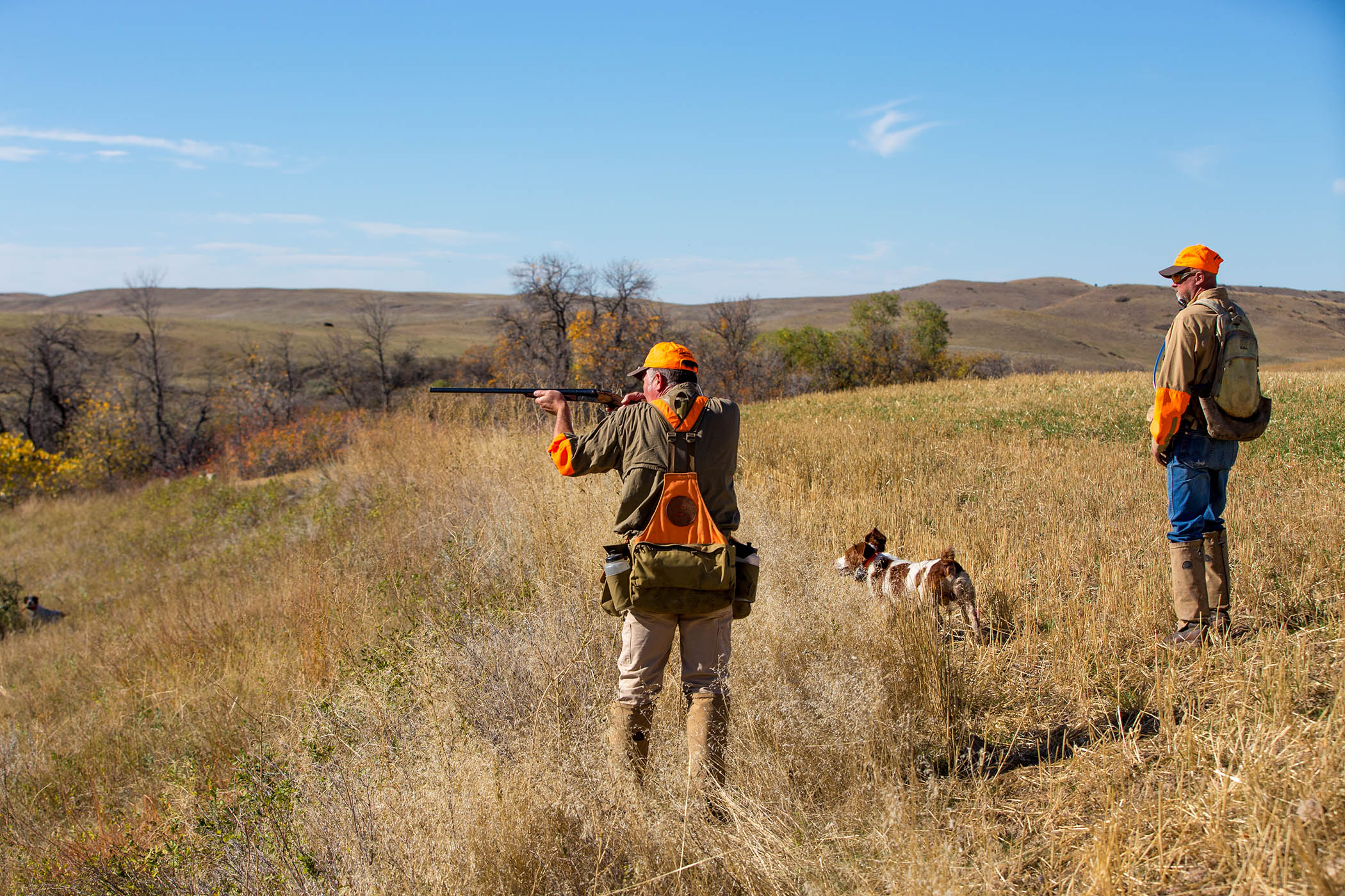 Upland Bird Hunting | Montana Fishing & Hunting Resort