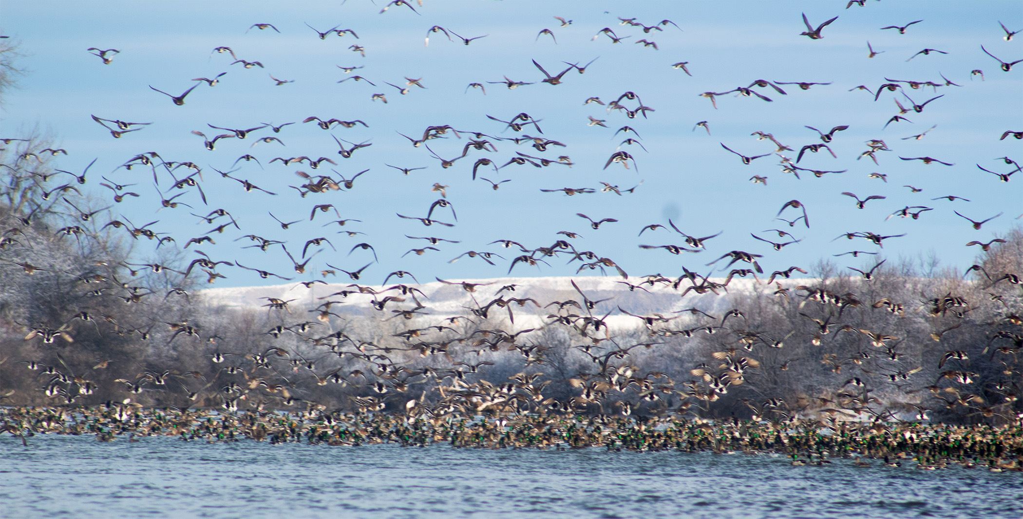 Cast & Blast | Montana Fishing & Hunting Resort