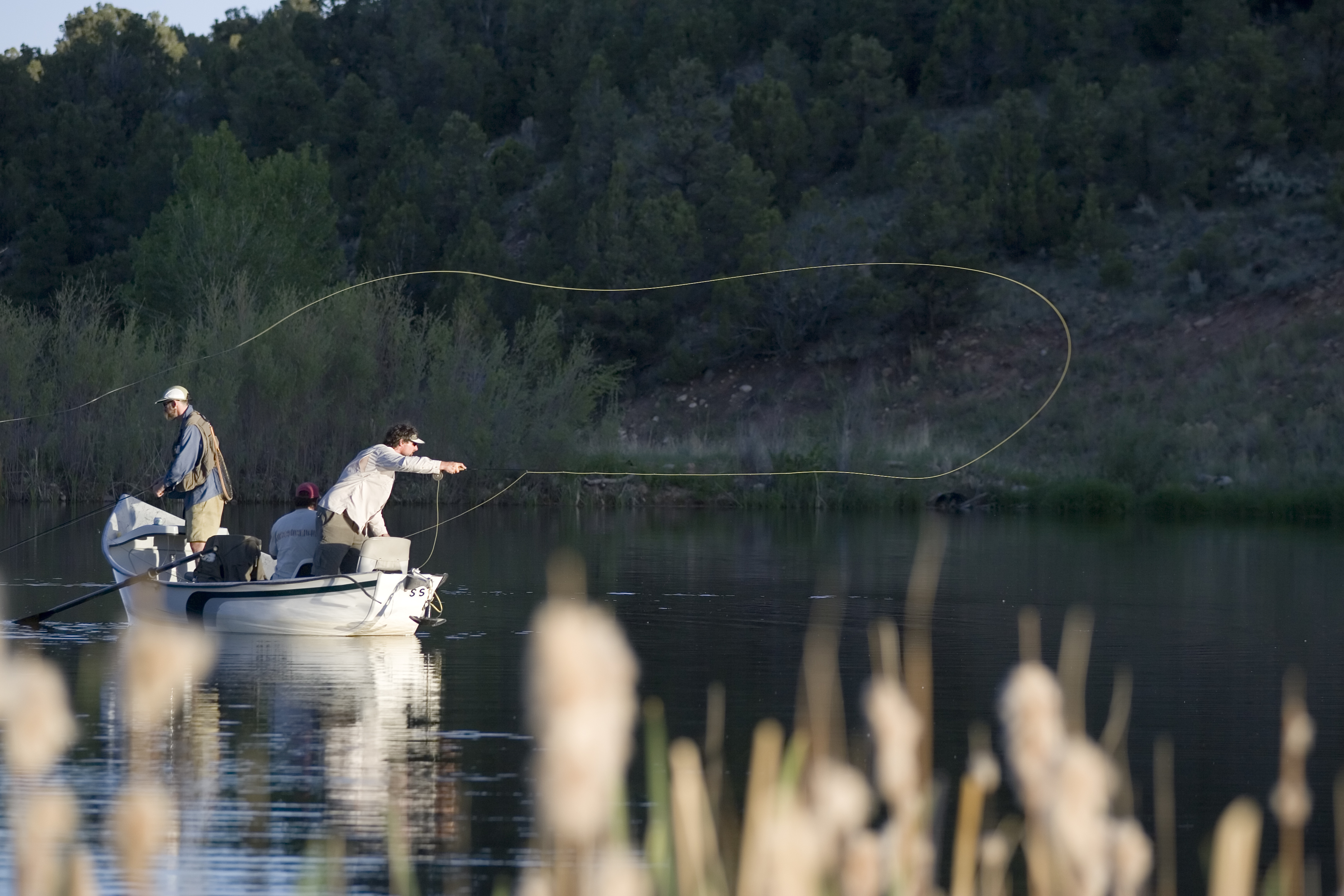 The Thrill of Dry Fly Fishing: August on the Bighorn River